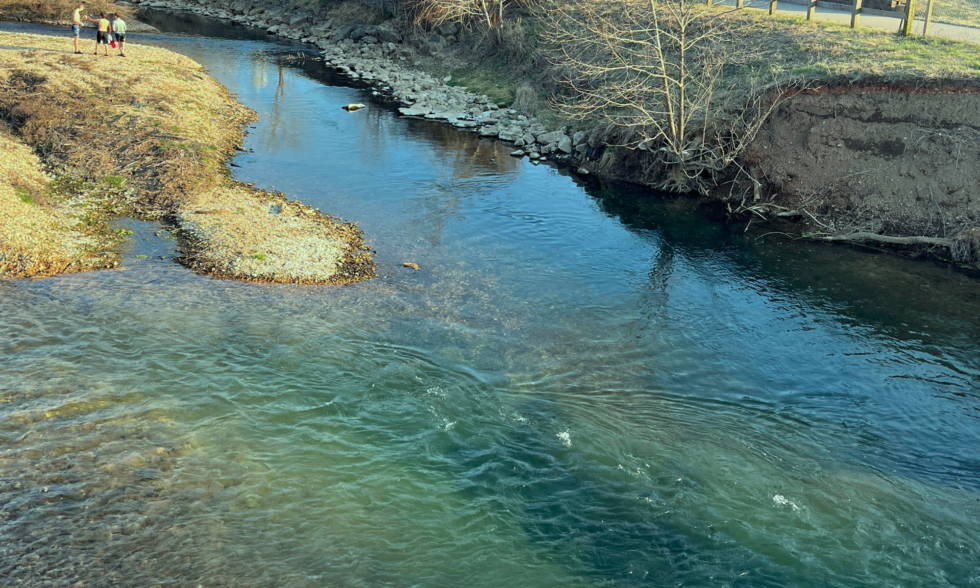 50+ Ideas For Spring Break In Bentonville Arkansas